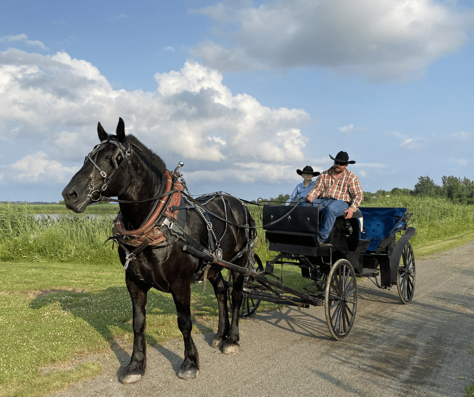 Promenades en calèche sur le sentier Riverfront | #ExploreNB / Tourisme ...