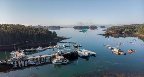 Île Deer : Les vacances d’une insulaire sur son île | #ExploreNB ...