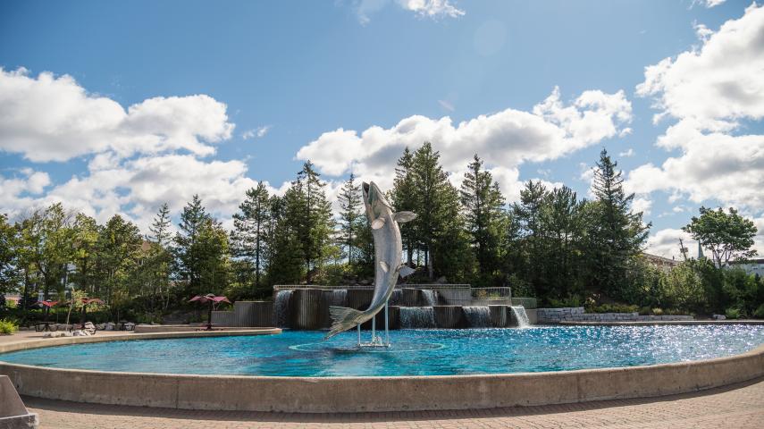 Communauté régionale de Campbellton | #ExploreNB / Tourisme Nouveau ...